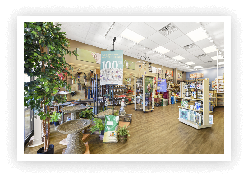 Custom Retail Store Fixtures & Displays | S-CUBE Fixtures