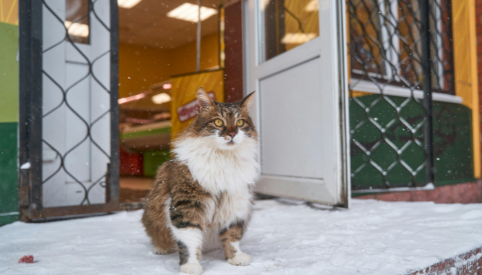 Upgrade Your Winter Storefront with Creative Custom Retail Displays
